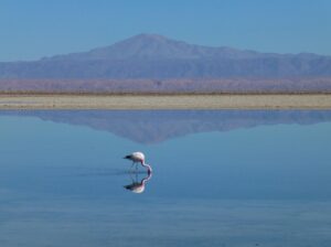 Invitation to a brief reflection (not only for lent) - Invitación a una ...